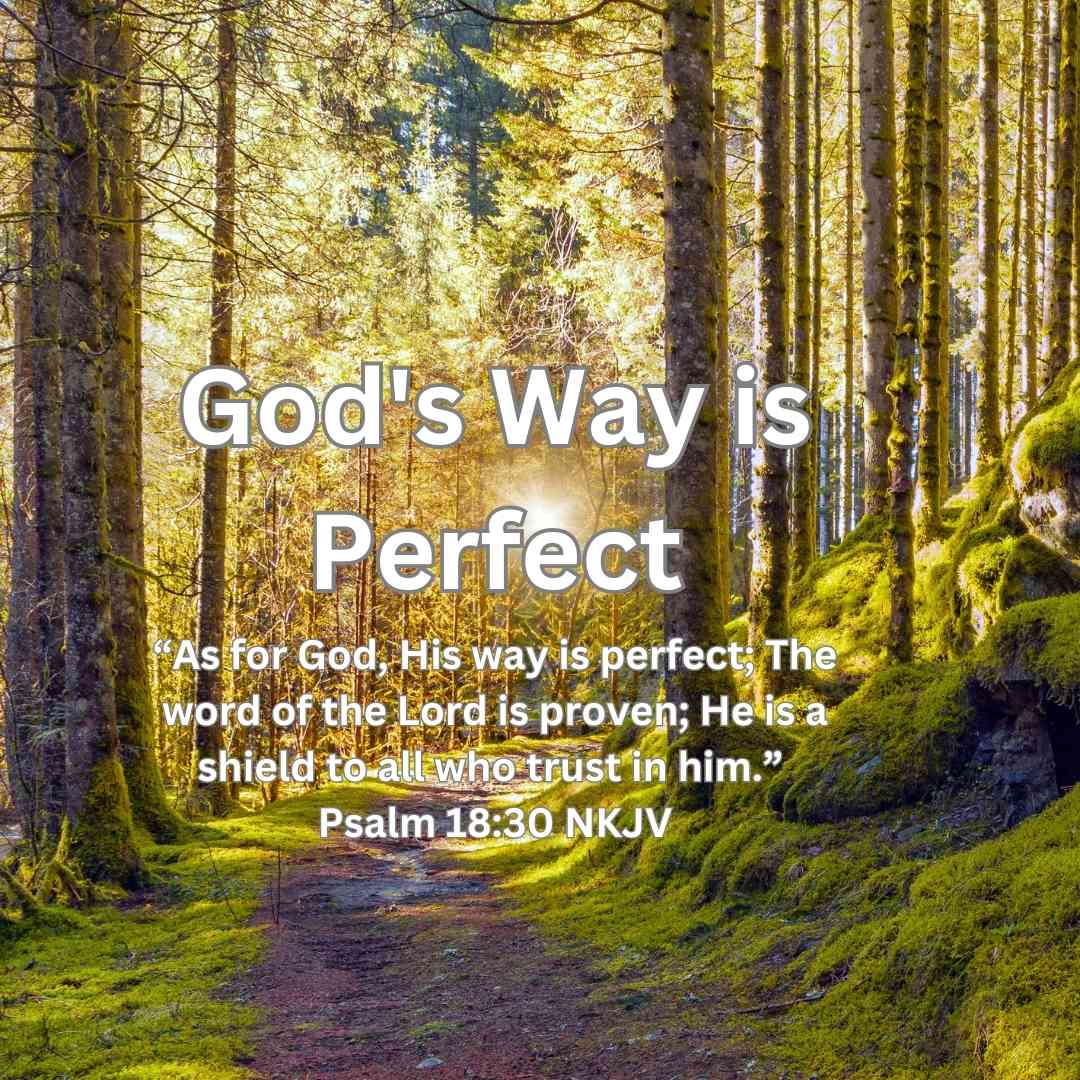 Home - New Covenant Church of Cartersville