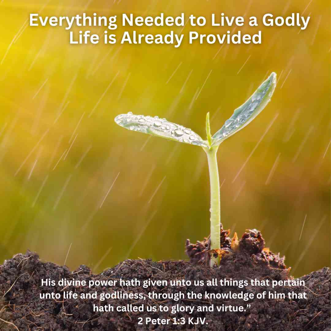 Everything Needed to Live a Godly Life is Already Provided - NCC ...