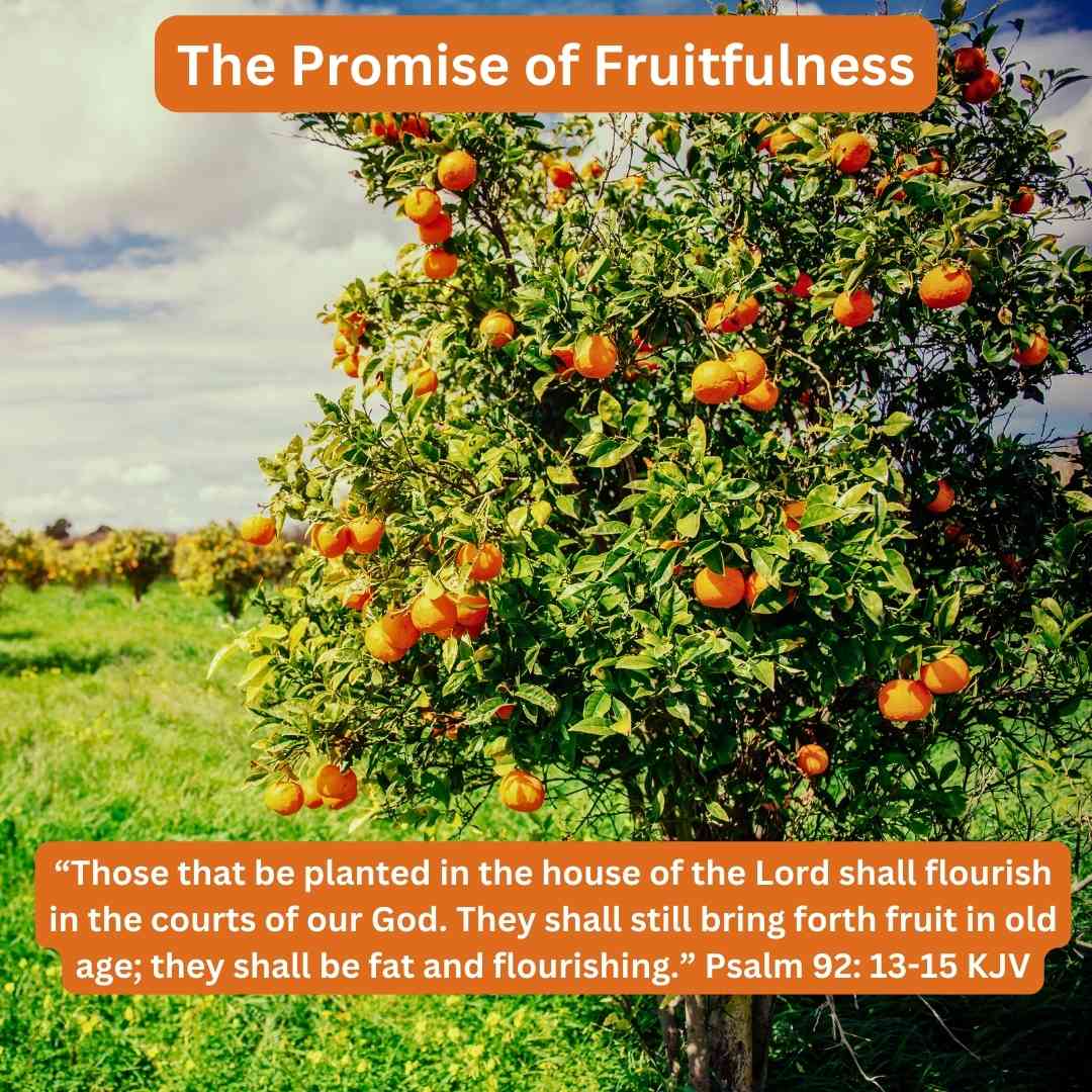The Promise of Fruitfulness - NCC Cartersville
