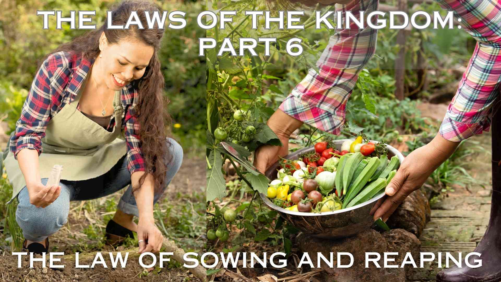 The Law of Sowing and Reaping - NCC Cartersville The Law of Sowing and Reaping - NCC Cartersville